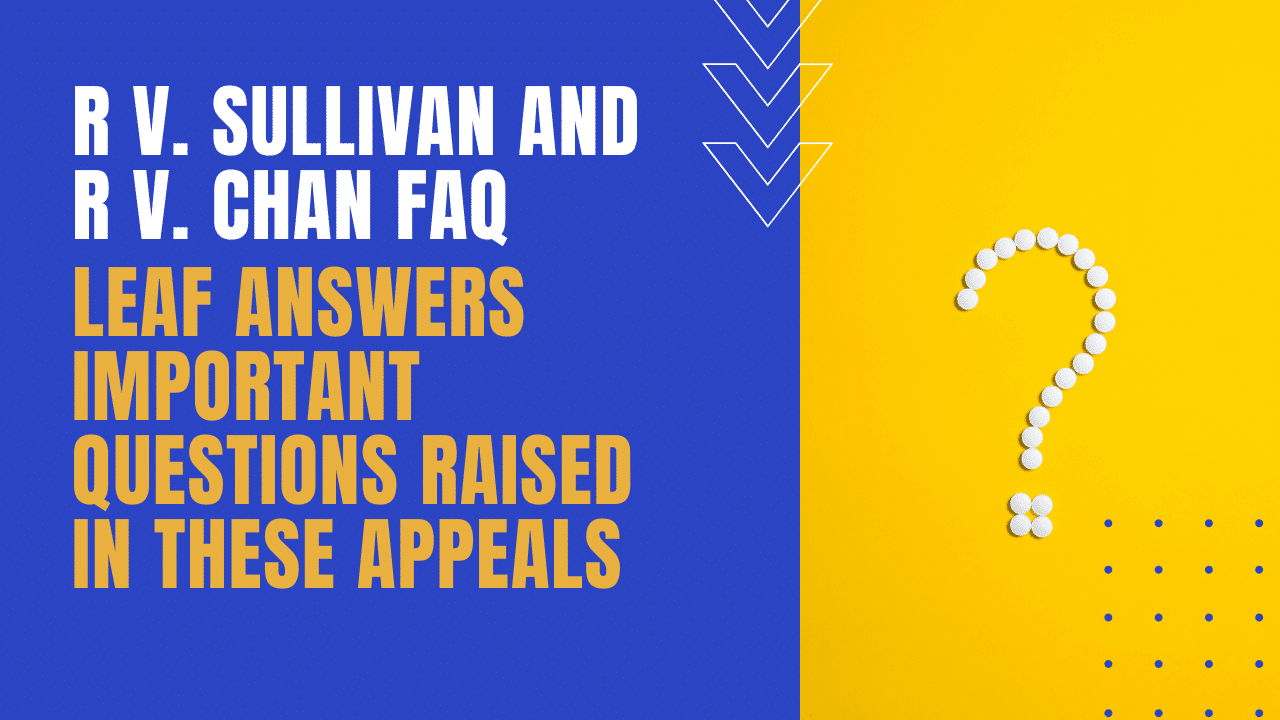 R v. Sullivan and R v. Chan FAQ - LEAF