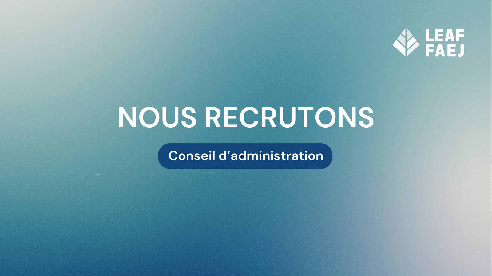 Le FAEJ recherche trois nouv·eaux·elles membres pour son conseil d’administration - LEAF